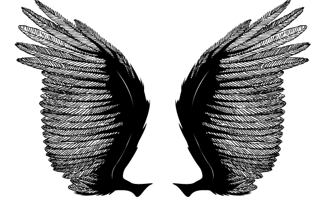 Wings Vector Pack For Adobe Illustrator