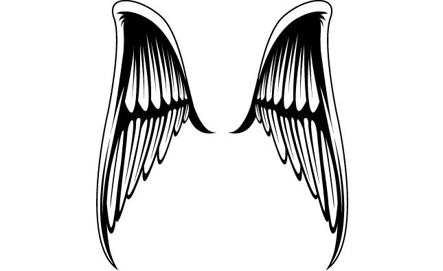Wings Vector Pack For Adobe Illustrator