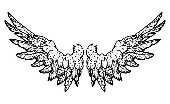 Wings Vector Pack For Adobe Illustrator