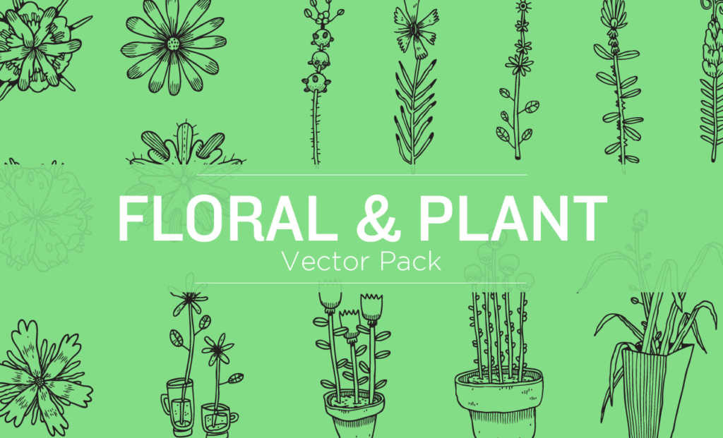 Plant and Floral Vectors by Go Media