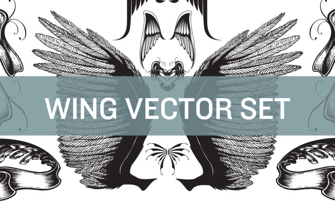 Wing Vector Set - Go Media's Arsenal