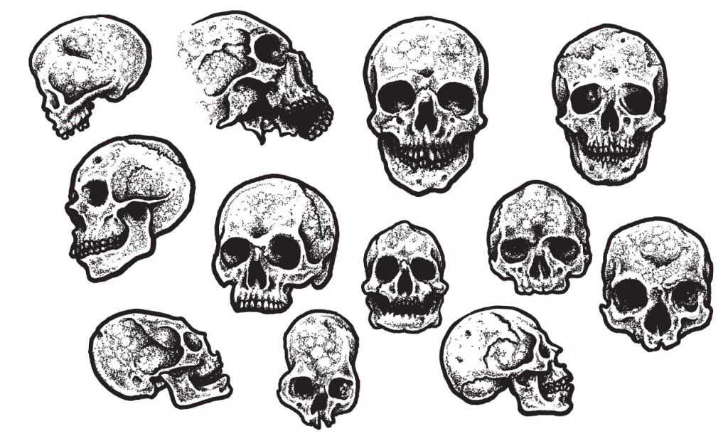 Jeff Finley's Skull Vector Pack for Go Media