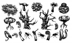 Black Forest Vector Pack