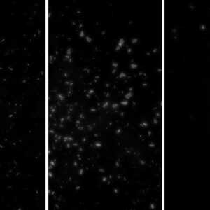 Dust & Particles Texture Pack