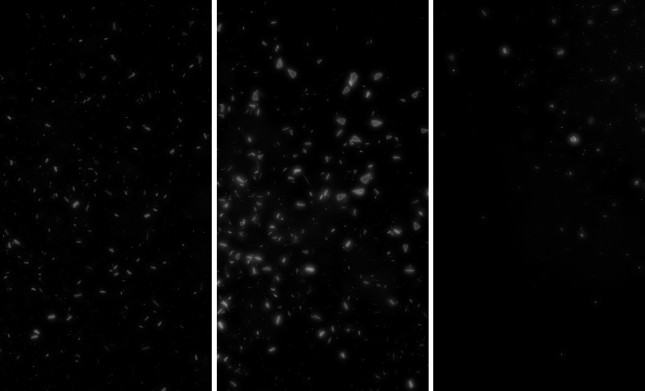 Dust & Particles Texture Pack