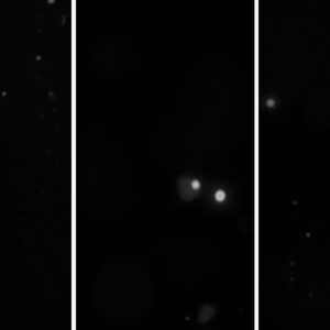 Dust & Particles Texture Pack