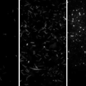 Dust & Particles Texture Pack