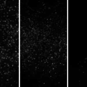 Dust & Particles Texture Pack