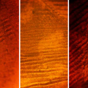 Microscopic Fingerprints Texture Pack by Go Media's Arsenal