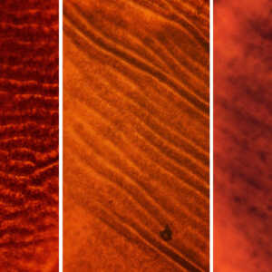 Microscopic Fingerprints Texture Pack by Go Media's Arsenal