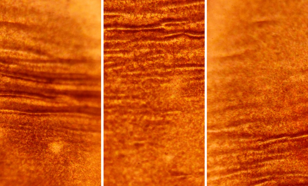 Microscopic Fingerprints Texture Pack by Go Media's Arsenal