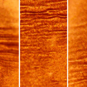 Microscopic Fingerprints Texture Pack by Go Media's Arsenal