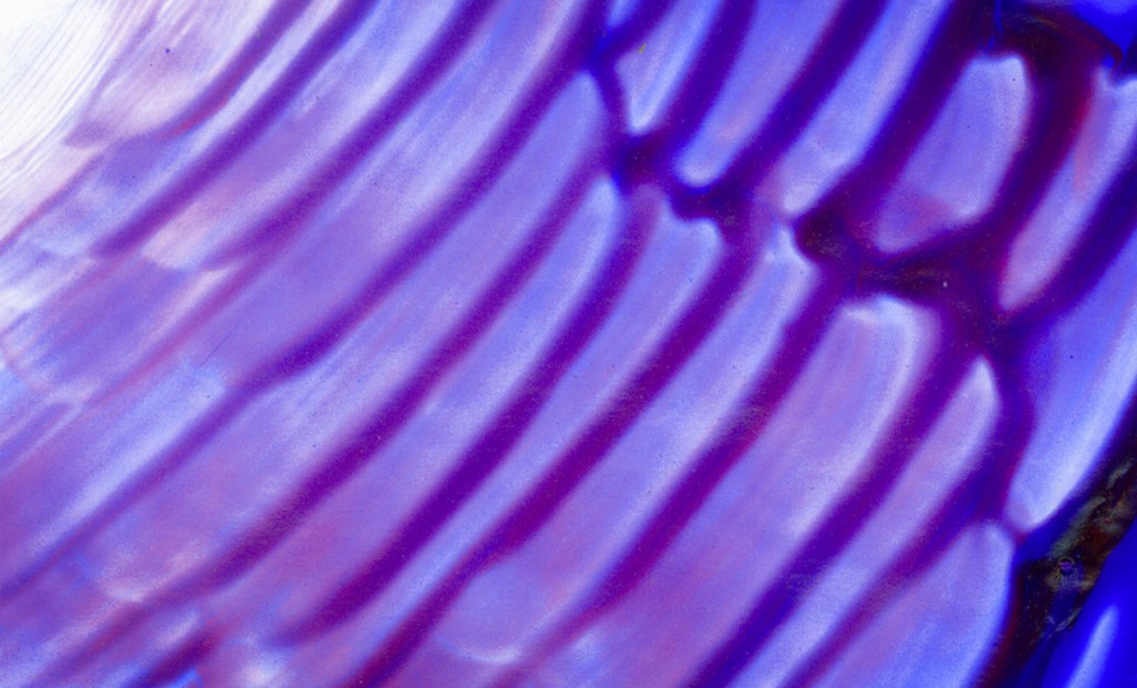 Fingerpaint Texture Pack