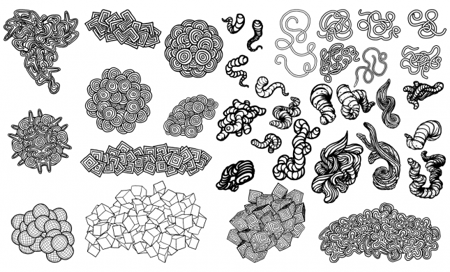 Adobe Illustrator Vector Graphics