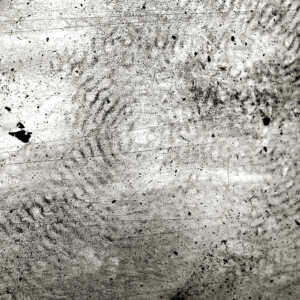 Dust & Dirt Texture Pack by Go Media's Arsenal