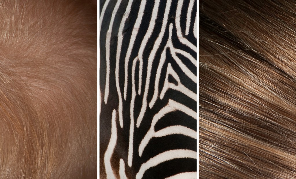 Skin and Fur Texture Pack
