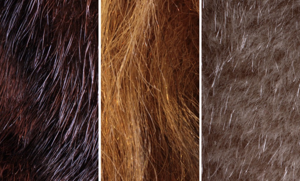 Fur Texture Pack by Go Media's Arsenal
