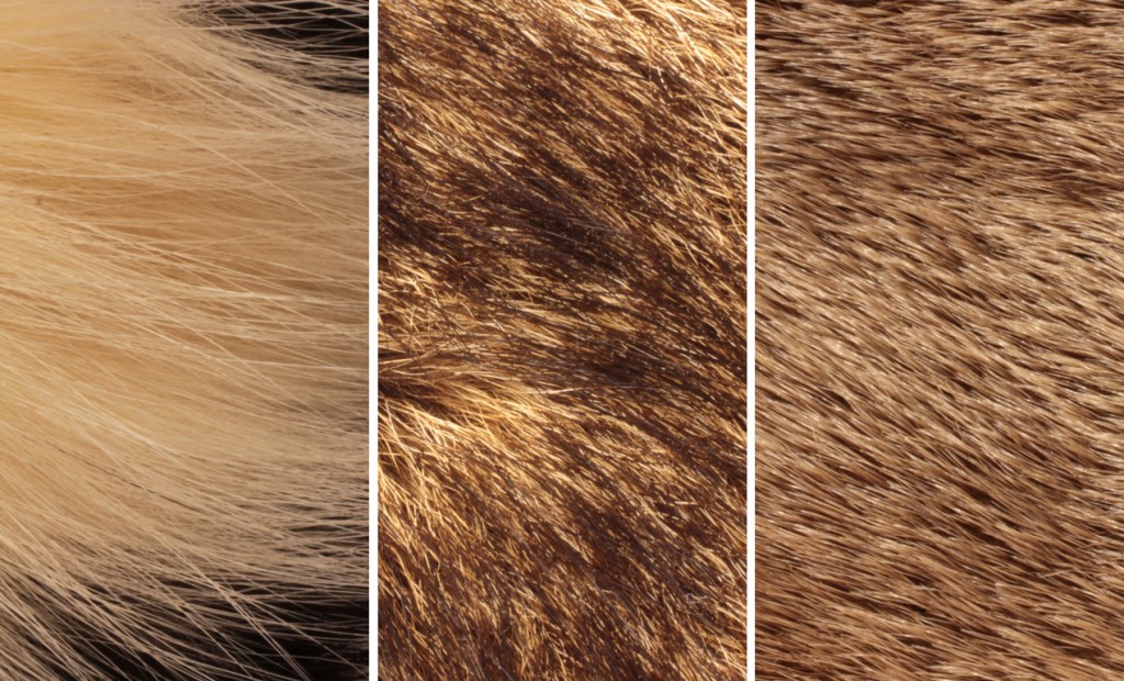 Fur Texture Pack by Go Media's Arsenal