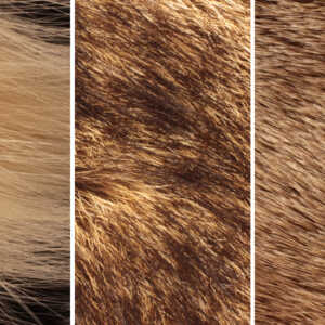 Fur Texture Pack by Go Media's Arsenal