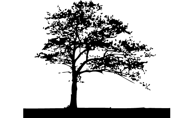 Adobe Illustrator Tree Vector Pack