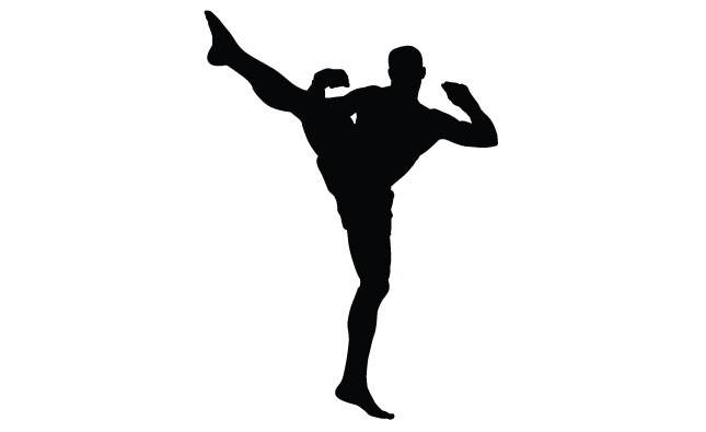 MMA Fighters Vector Pack for Adobe Illustrator