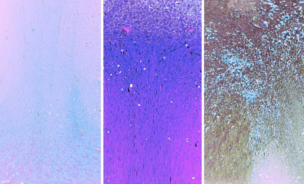 Leaking Purple Retro Voids Abstract Textures by Go Media
