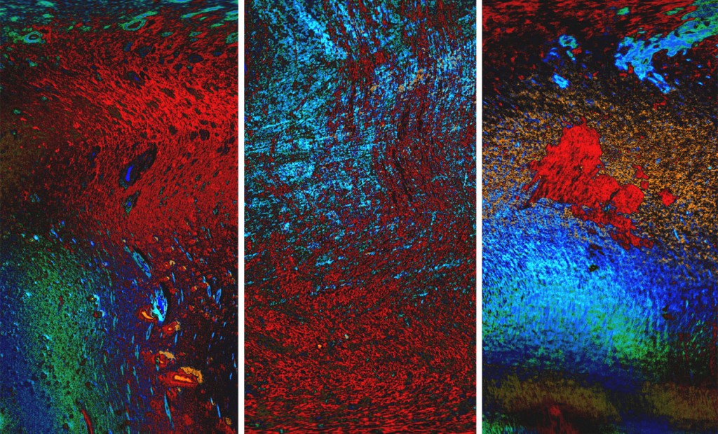 Liquid Projections Inspired Psychedelic Textures by Go Media